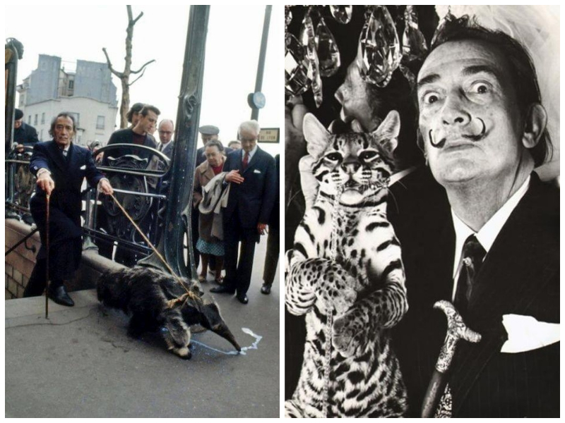 Choval ocelota, ale vyfotit se nechal s mravenečníkem na vodítku: 10 ...