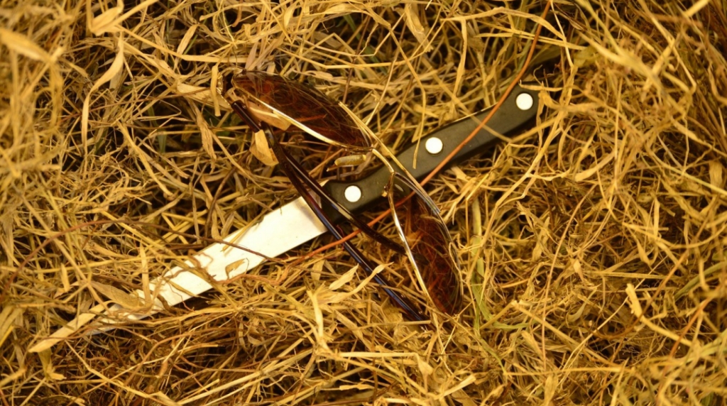 Nejhorší vrah Austrálie: Paul Steven Haigh se nebál zabíjet ani za ...